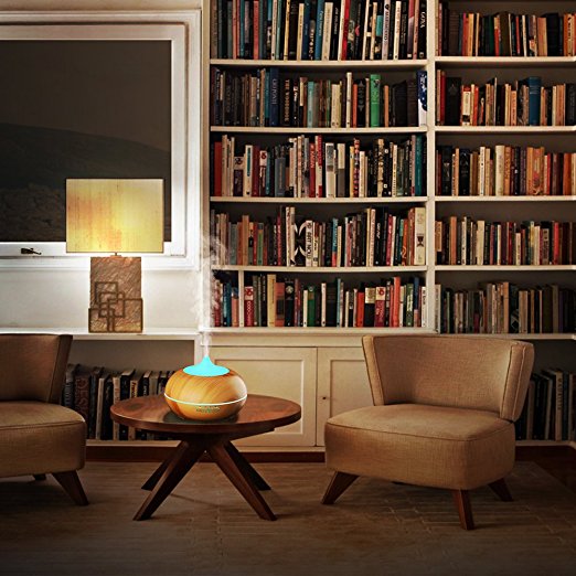 The Best Aromatherapy Diffusers (2021 Reviews)